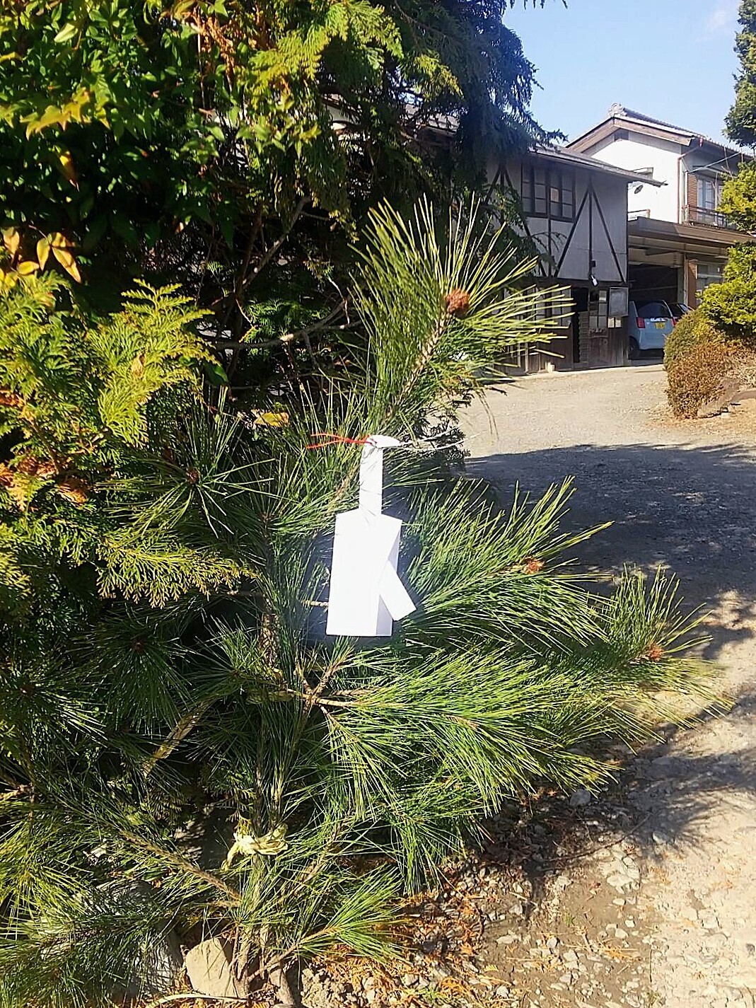 小晦日（こつごもり）は晴天・・・: Sakito-2017.2.start